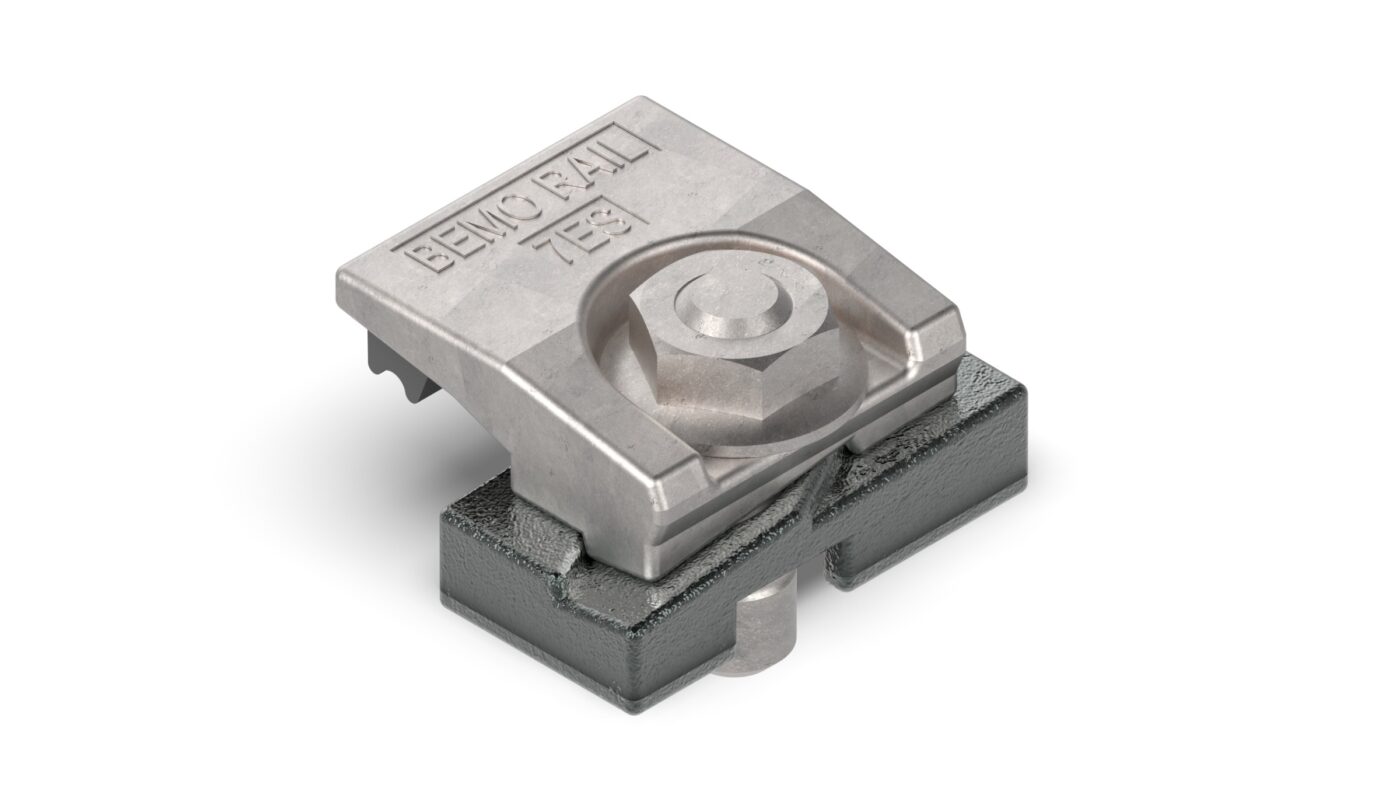 Standard and customised rail clips