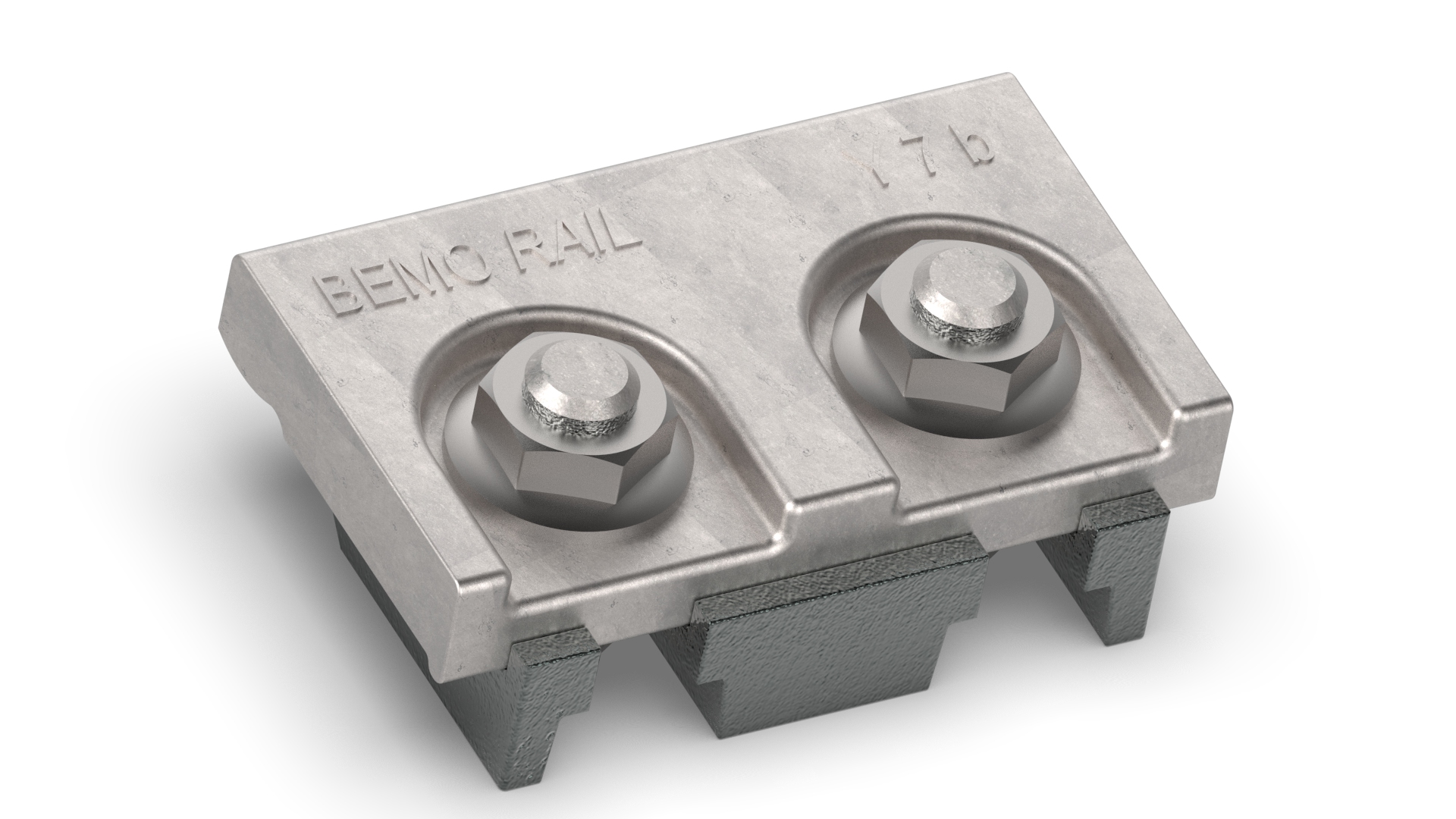 Standard and customised rail clips